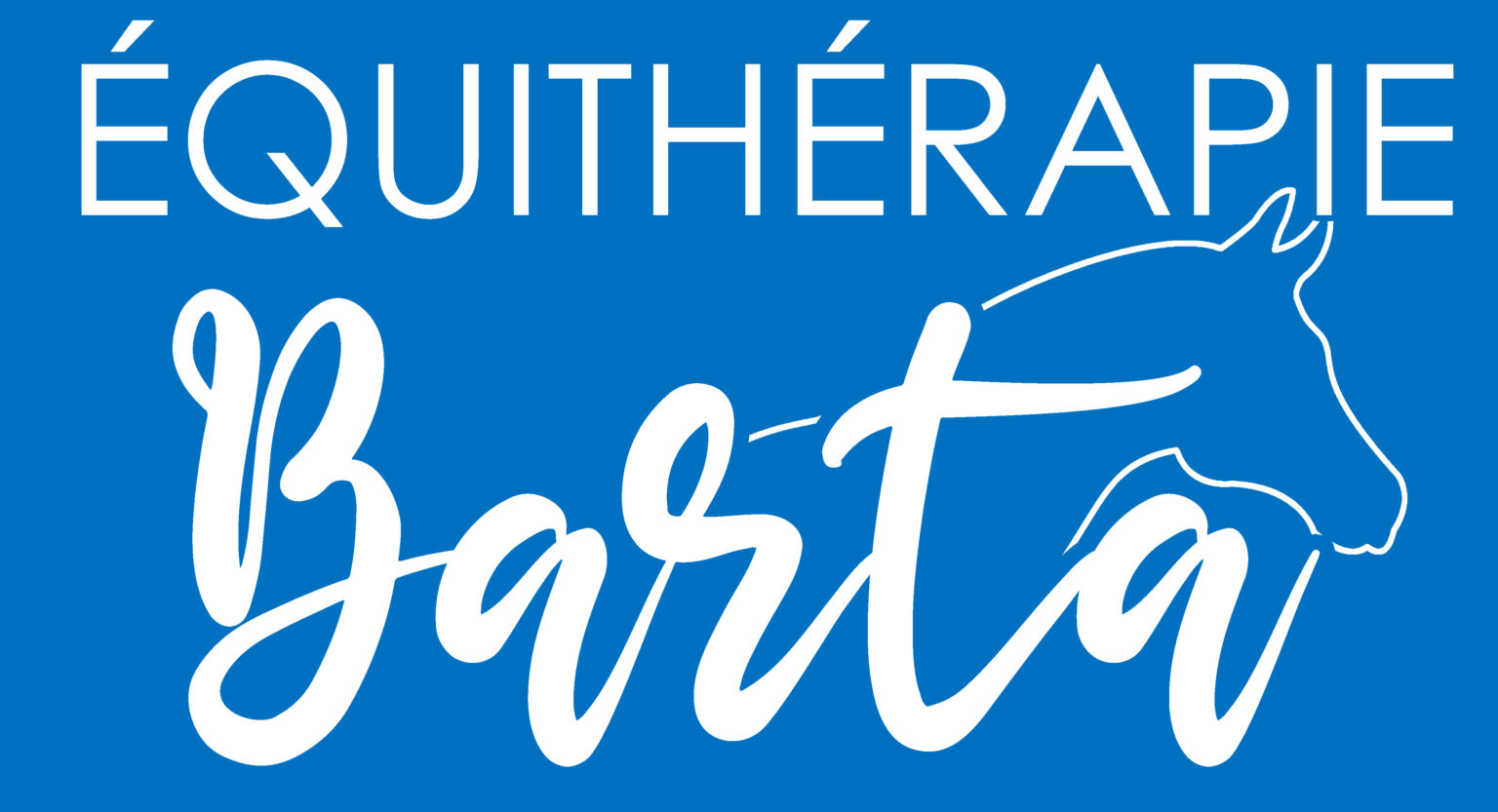 Equithérapie Barta – L'équithérapie : se soigner grâce aux chevaux